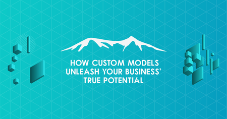 How Custom Models Unleash Your Business’ True Potential